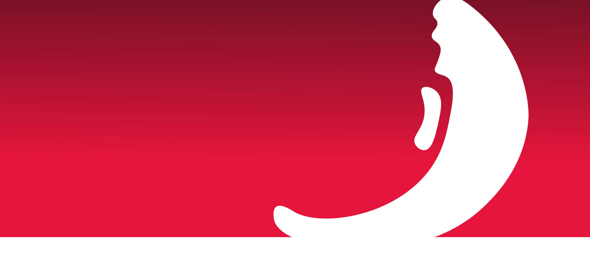 KOI Packaging - Inovação em Embalagens Plásticas